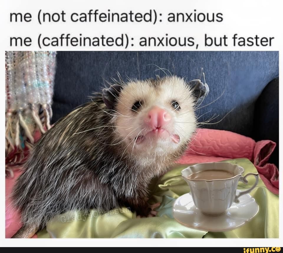Meme dump 93: crispy opossum bar - me (not caffeinated): anxious me ...