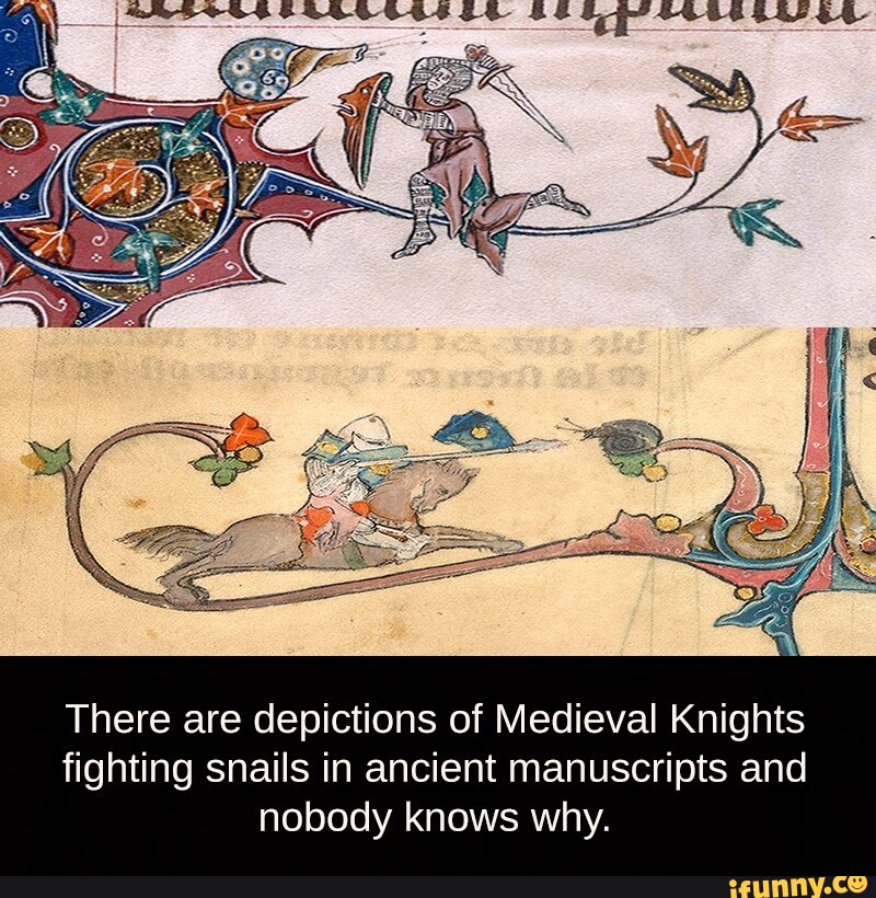 There are depictions of Medieval Knights fighting snails in ancient ...