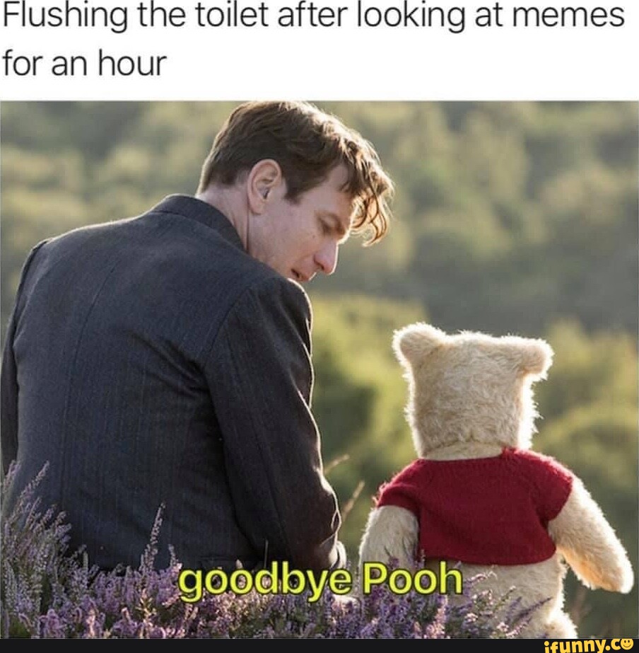 Flushing the toilet after looking at memes for an hour - iFunny