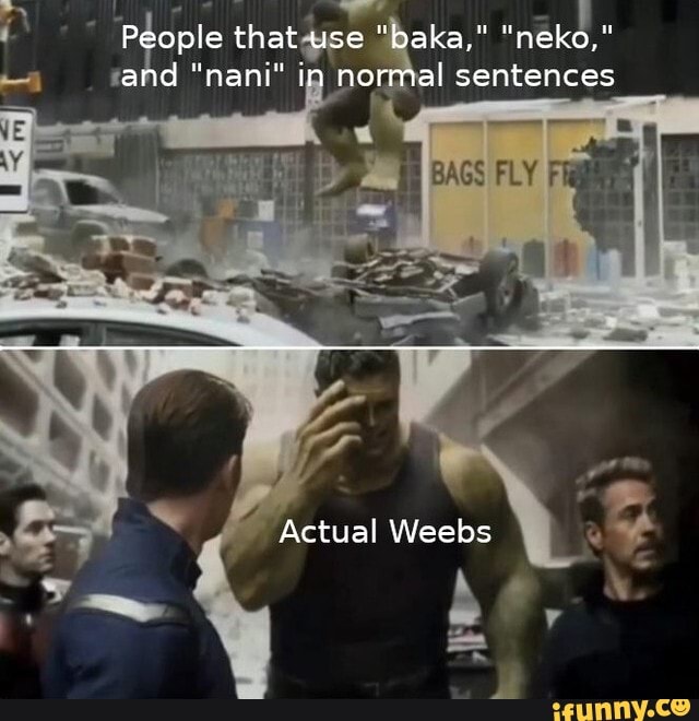 People that use "baka," "neko," and "nani" in normal sentences LA ...