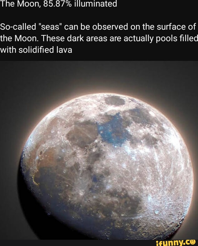 Pools memes. Best Collection of funny Pools pictures on iFunny