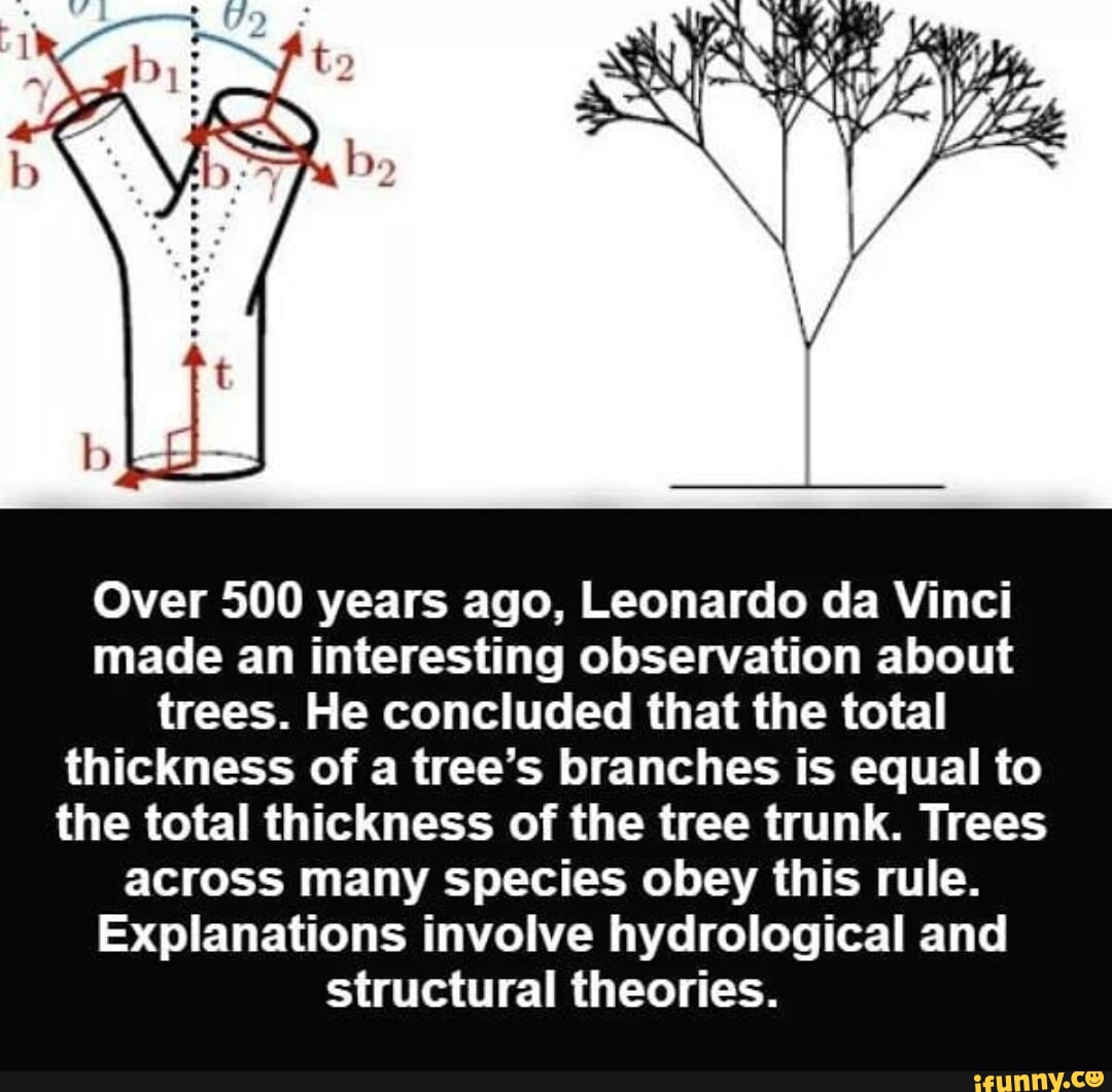 Over 500 years ago, Leonardo da Vinci made an interesting observation ...
