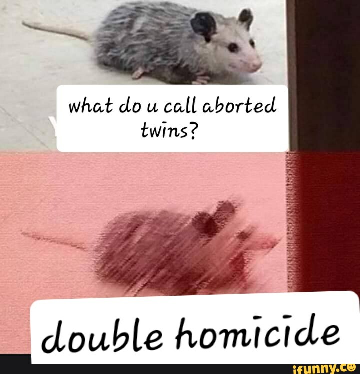 What dou call aborted twins? double homicide - iFunny