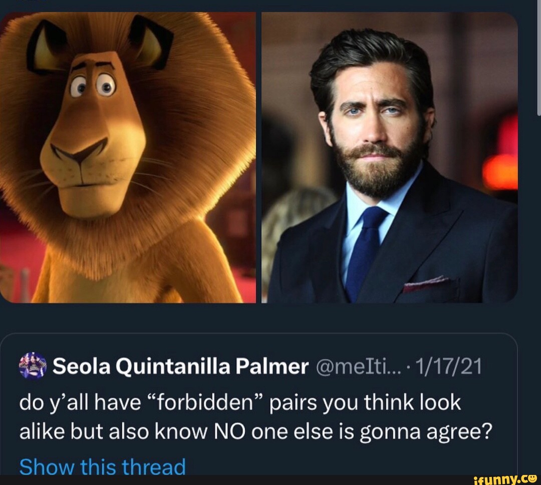 Funny Look Alikes Animals