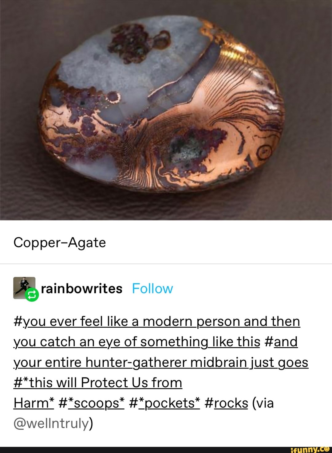 Midbrain memes. Best Collection of funny Midbrain pictures on iFunny