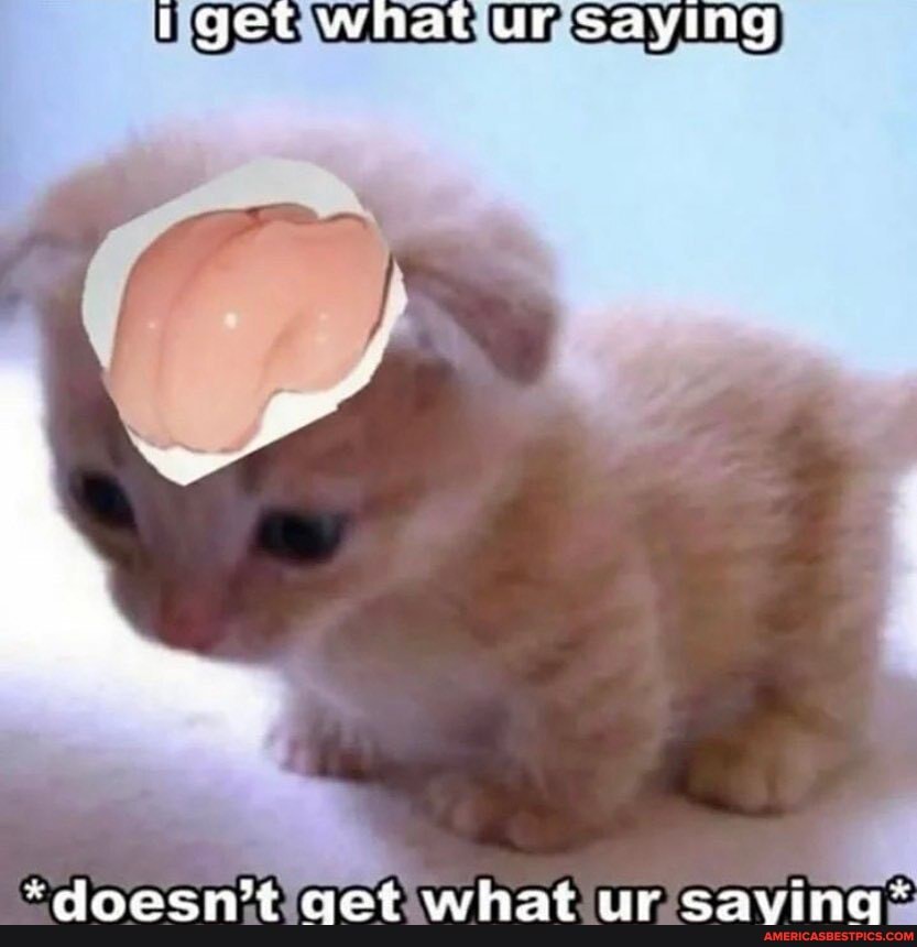 Wrinkly brain very ugly. smooth brain very cute!! - Iget what ur saying ...