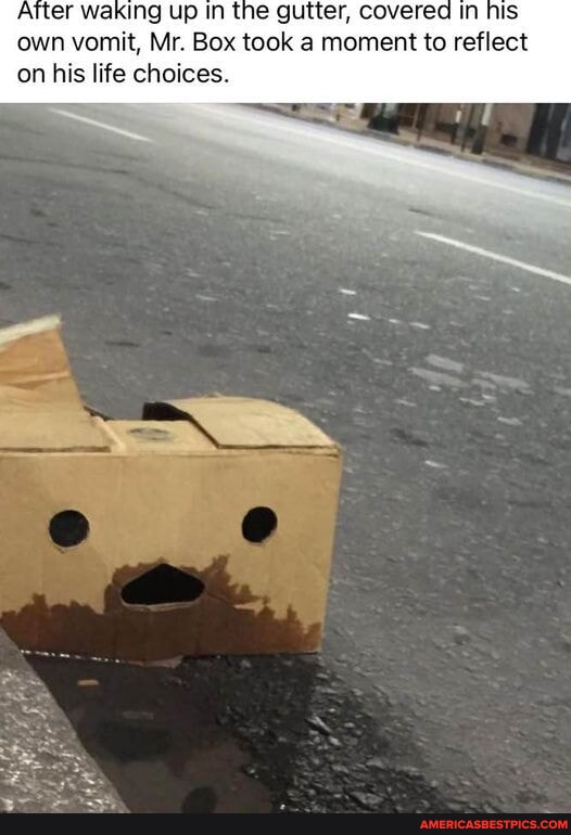 Er waking up In the gutter, covered In own vomit, Mr. Box took a moment ...