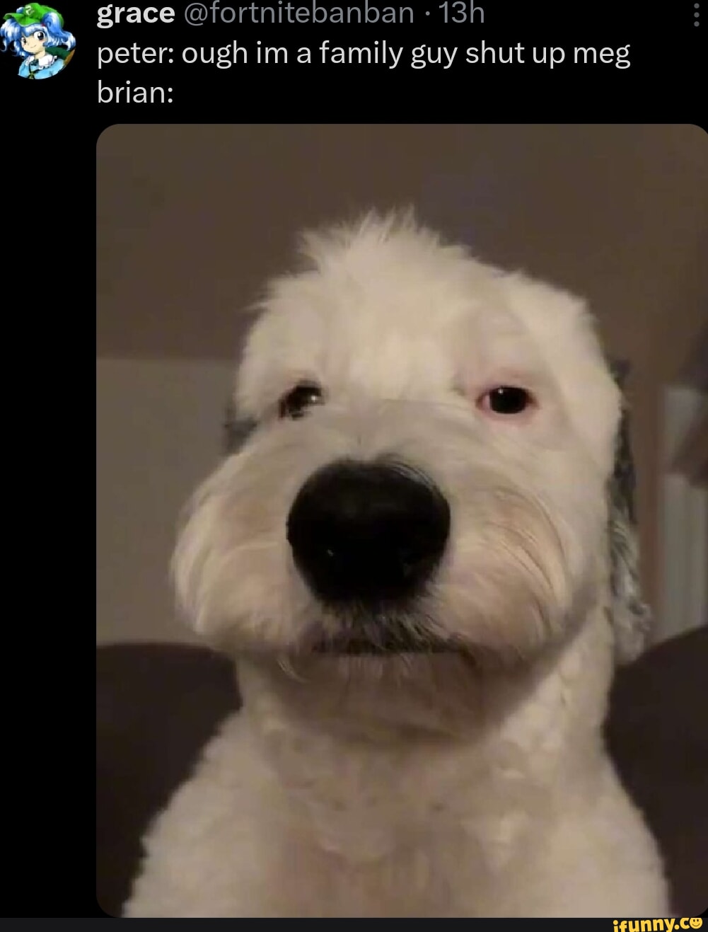 Grace @fortnitebanban peter: ough im a family guy shut up meg brian ...