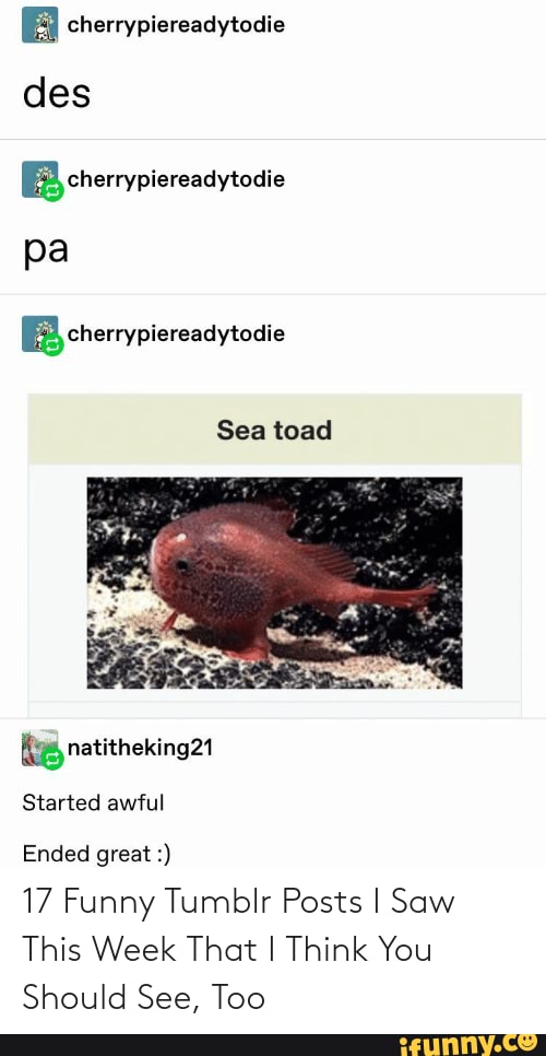 Sarcastic Tumblr Posts