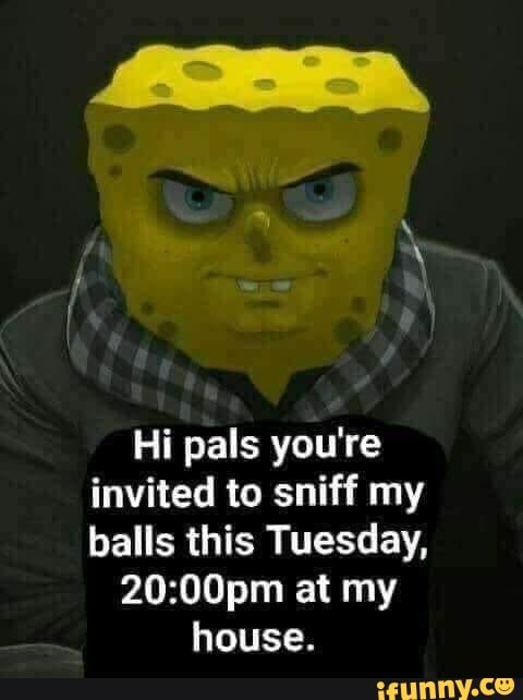 Hi Pals Youre Invited To Sniff My Balls This Tuesday At My House