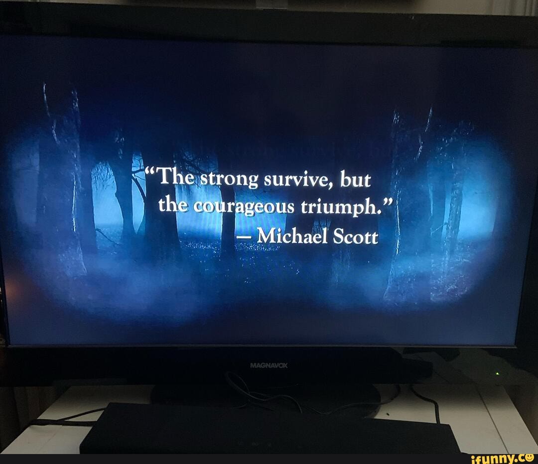 Walkabout memes. Best Collection of funny Walkabout pictures on iFunny