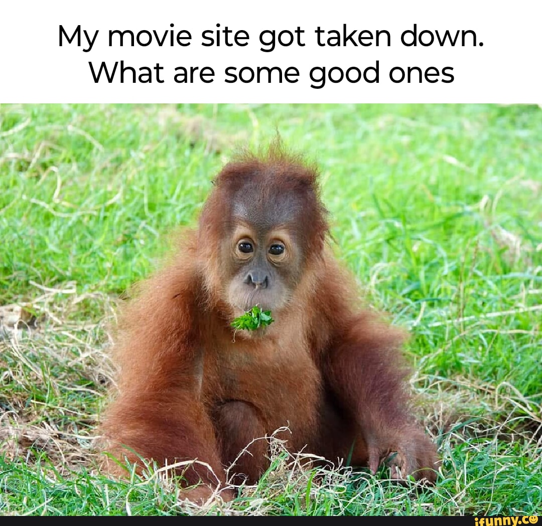 My movie site got taken down. What are some good ones - iFunny