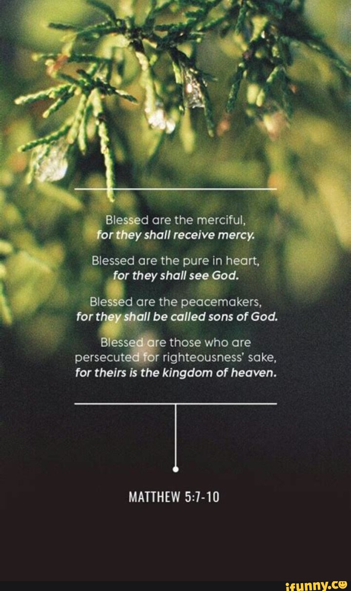 Persecuted memes. Best Collection of funny Persecuted pictures on iFunny