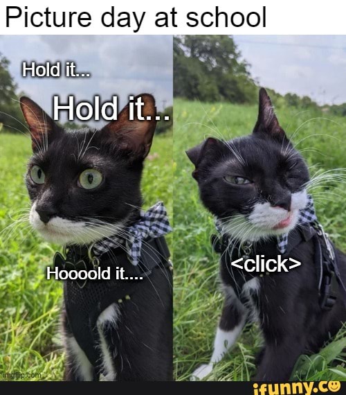 Picture day at school Hold it... Hold it... Hoooold it... - iFunny