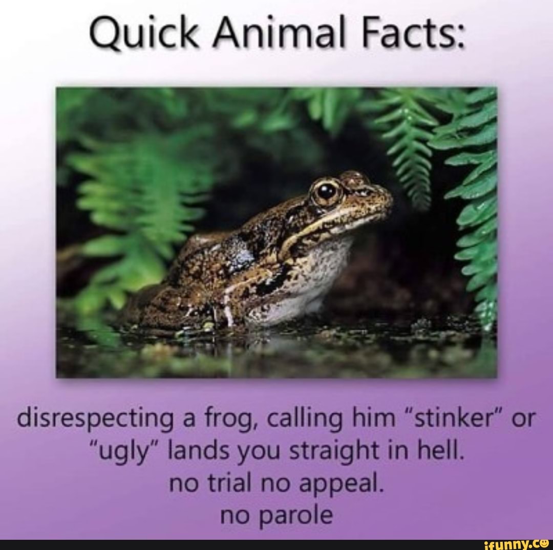 Quick Animal Facts: disrespecting a frog, calling him "stinker" or ...