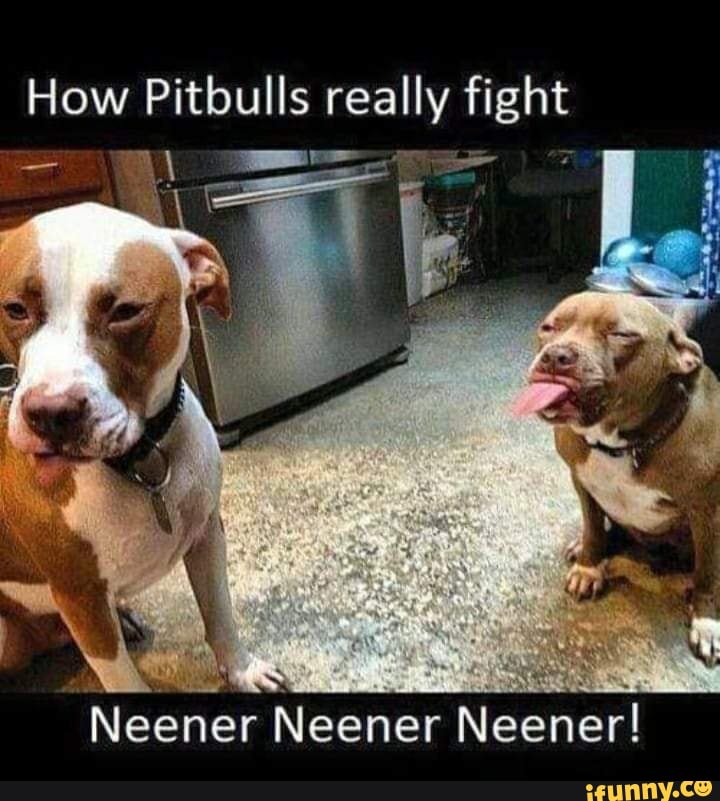 Neener memes. Best Collection of funny Neener pictures on iFunny