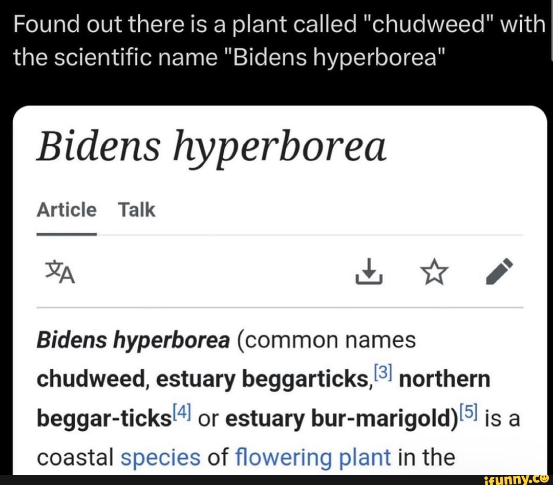 Hyperborea memes. Best Collection of funny Hyperborea pictures on iFunny