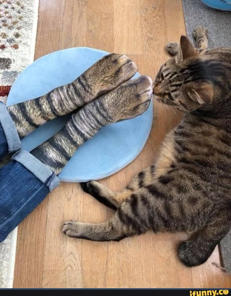 Cursed_feet memes. Best Collection of funny Cursed_feet pictures on iFunny