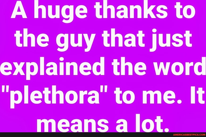 A huge thanks to the guy that just explained the word "plethora' to me ...