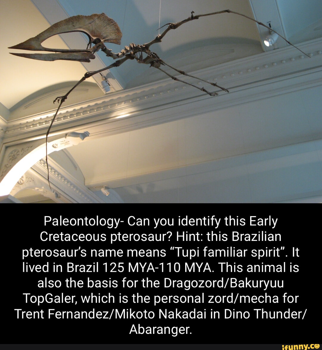 Paleontology- Can you identify this Early Cretaceous pterosaur? Hint ...