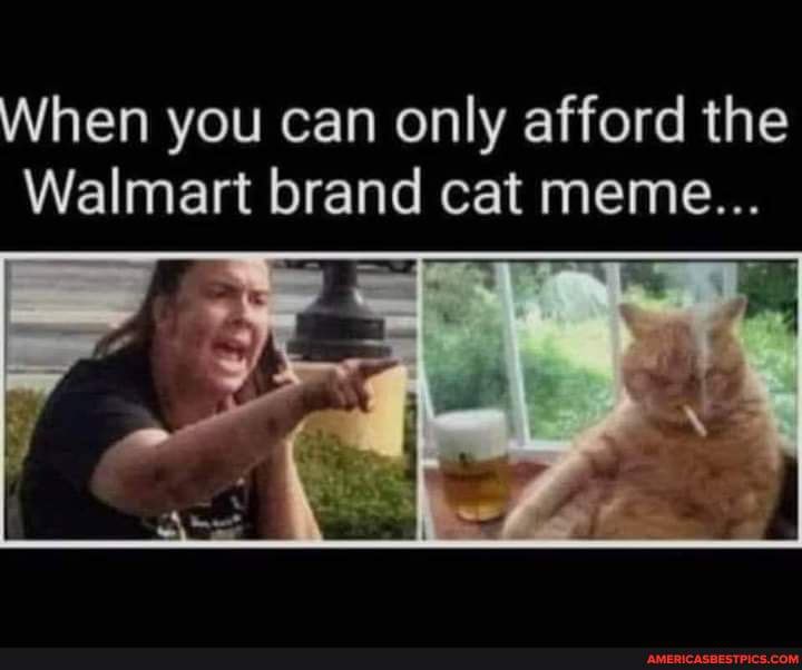 When you can only afford the Walmart brand cat meme... - America’s best ...