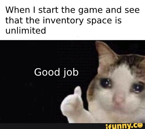 Good job - When I start the game and see that the inventory space is ...