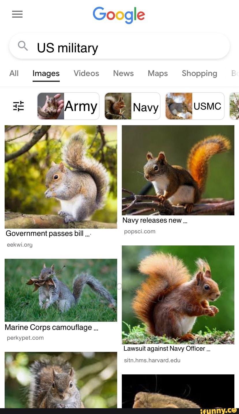 = Google US military All Images Videos News Maps Shopping army say ...