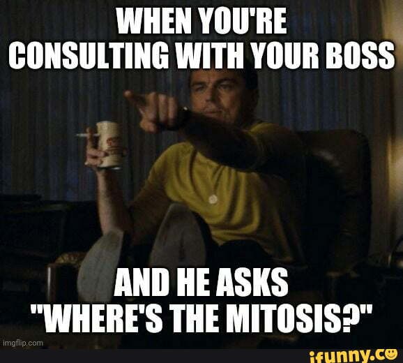 Histology memes. Best Collection of funny Histology pictures on iFunny