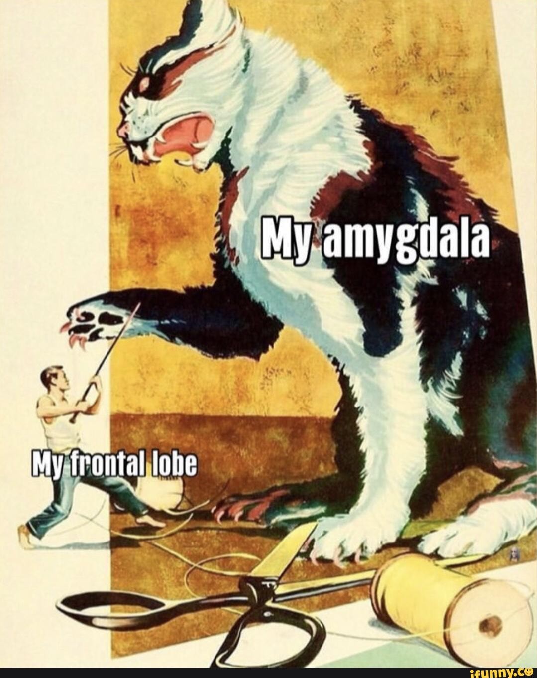 That lil frontal lobe is trying - My amygdala 'My frontal lohe - iFunny