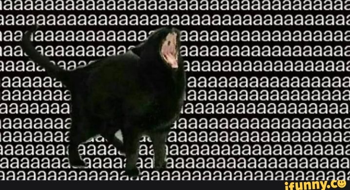 Gaagaaaa memes. Best Collection of funny Gaagaaaa pictures on iFunny