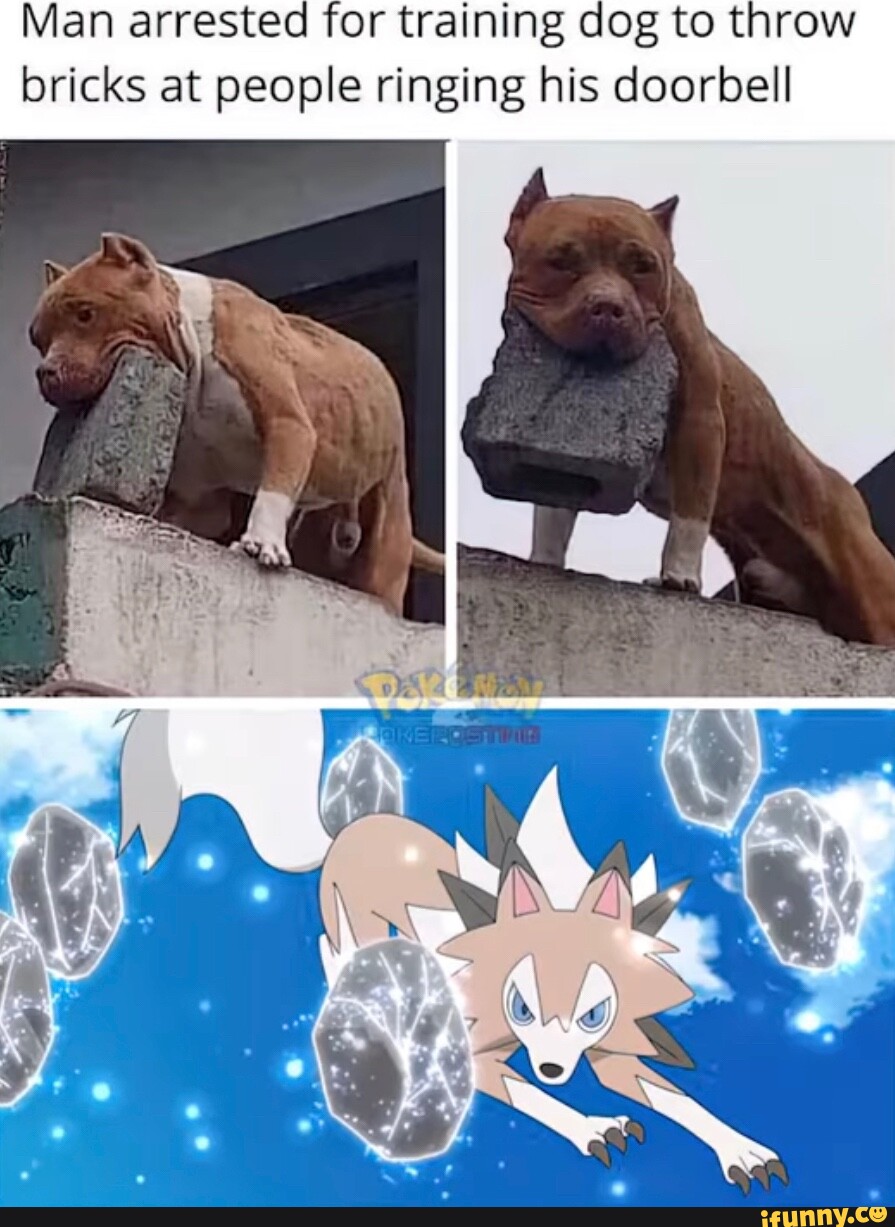 Cat suddenly realizes that it has 4 paws - iFunny