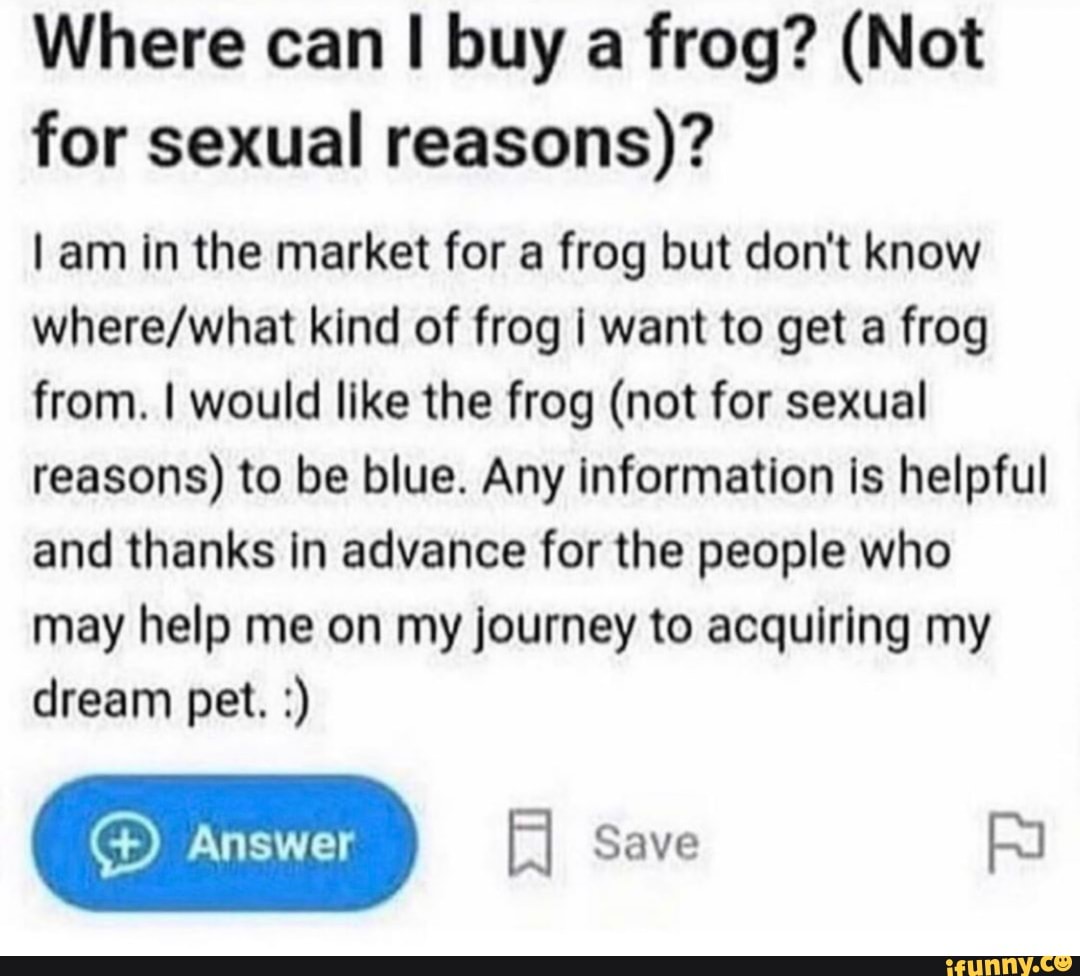 Where can I buy a frog? (Not for sexual reasons)? am in the market for ...