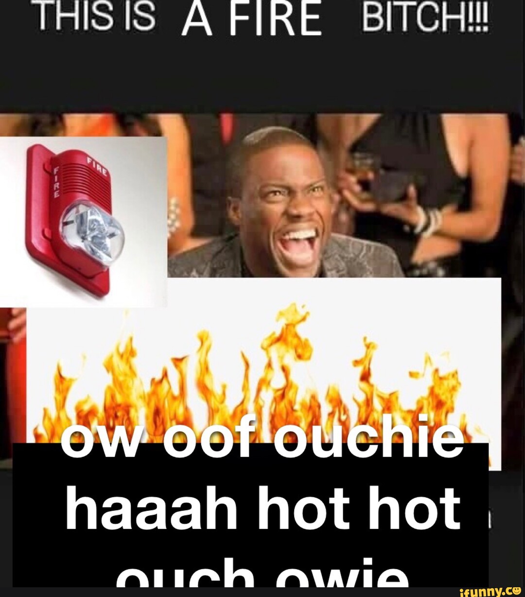 Haaah memes. Best Collection of funny Haaah pictures on iFunny