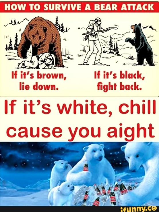 HOW TO SURVIVE A BEAR ATTACK If it's brown, If it's black, lie down ...