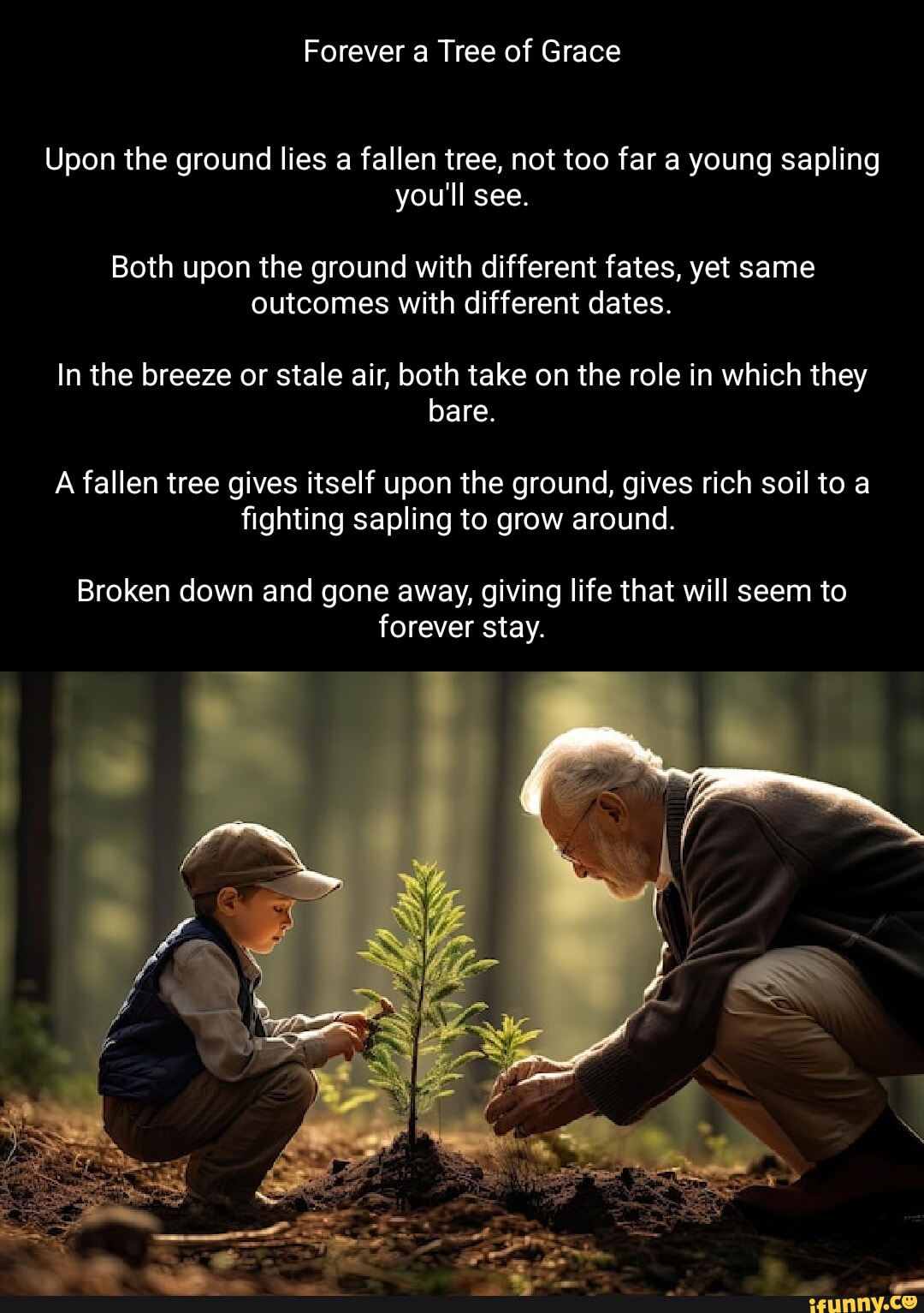 Forever a Tree of Grace Upon the ground lies a fallen tree, not too far ...