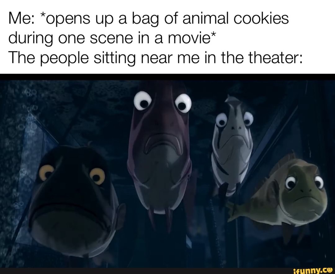 Padak memes. Best Collection of funny Padak pictures on iFunny