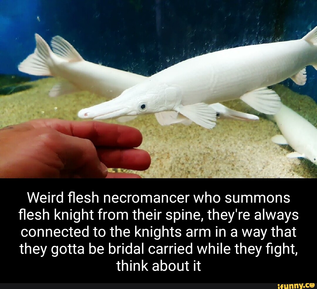 Weird flesh necromancer who summons flesh knight from their spine, they ...