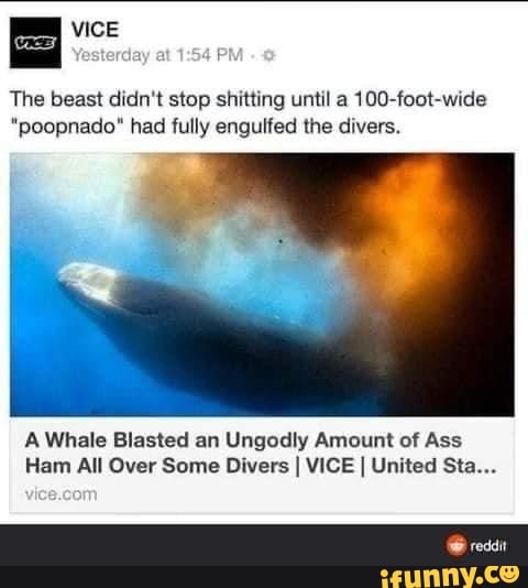 VICE al The beast didn't stop shitting until a wide "poopnado" had ...