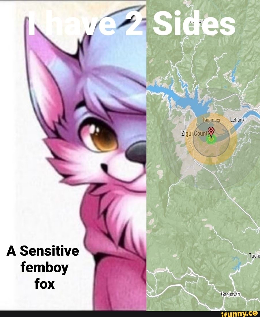 Ii ~Letianxi A Sensitive femboy fox Gaojiayan. - iFunny