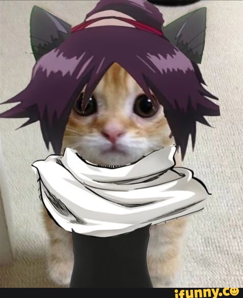 Yoruichi memes. Best Collection of funny Yoruichi pictures on iFunny