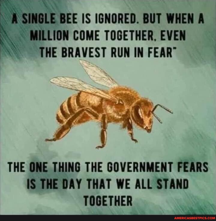 SLE BEE IS IGNORED. BUT WHEN A LION COME TOGETHER, EVEN THE BRAVEST RUN ...