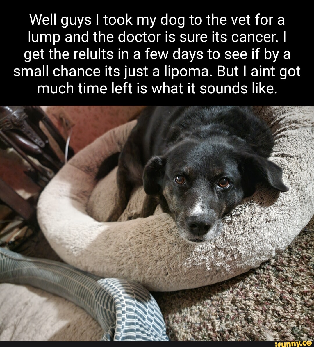 Lump memes. Best Collection of funny Lump pictures on iFunny