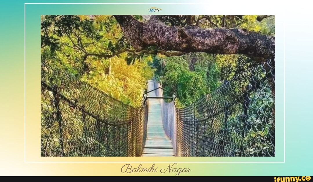 Rafting memes. Best Collection of funny Rafting pictures on iFunny