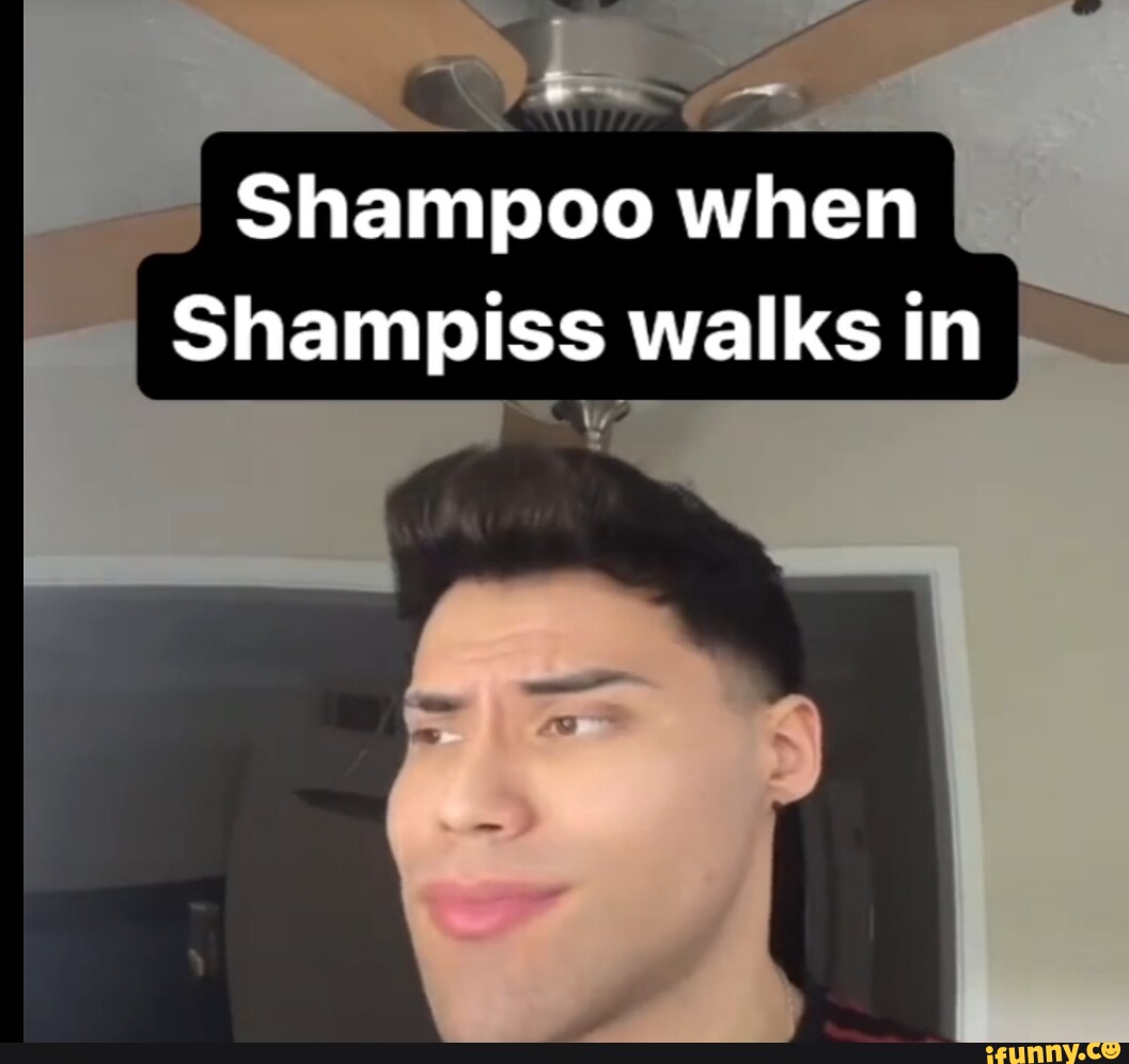 Shampiss memes. Best Collection of funny Shampiss pictures on iFunny