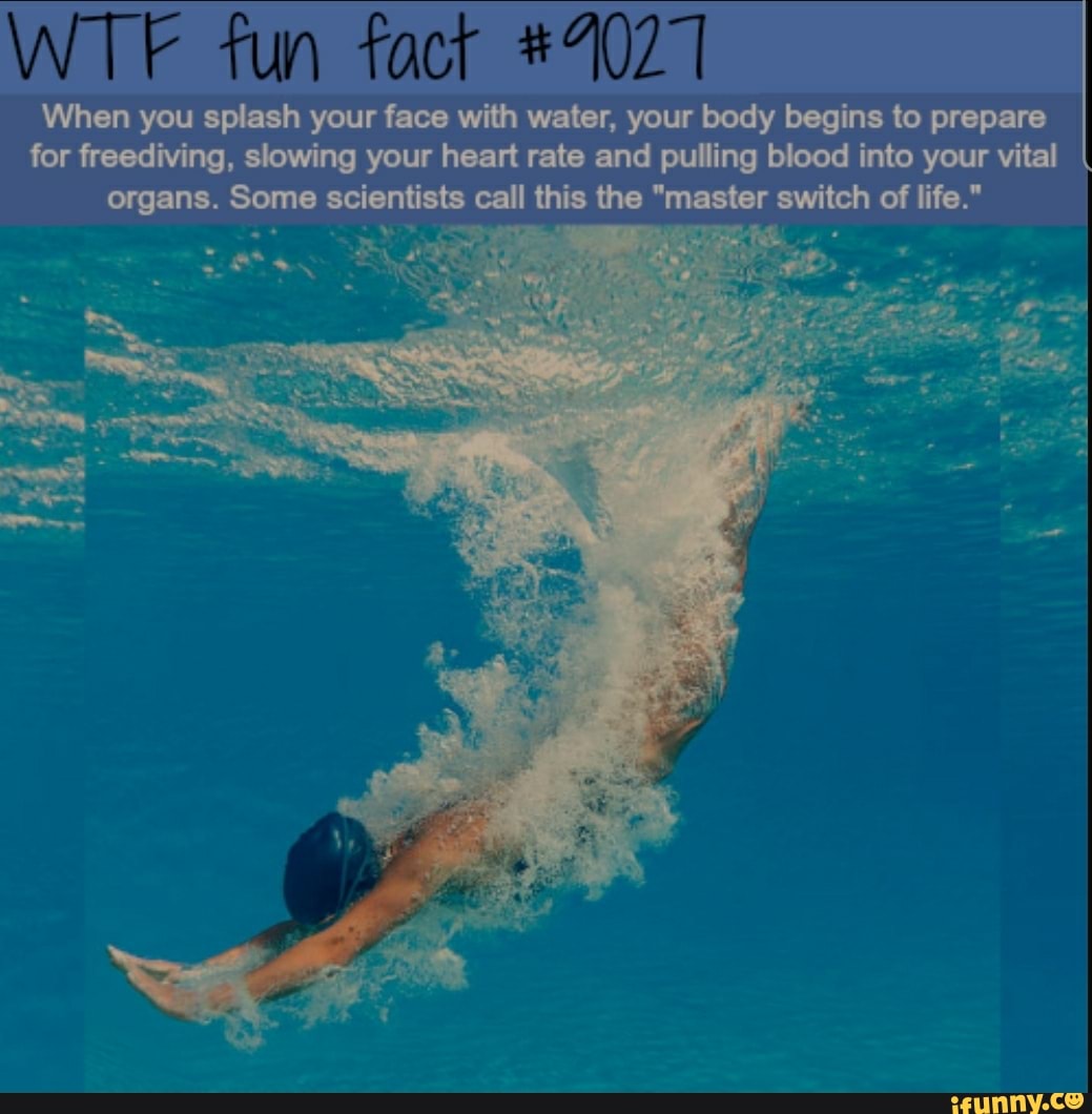 Freediving memes. Best Collection of funny Freediving pictures on iFunny