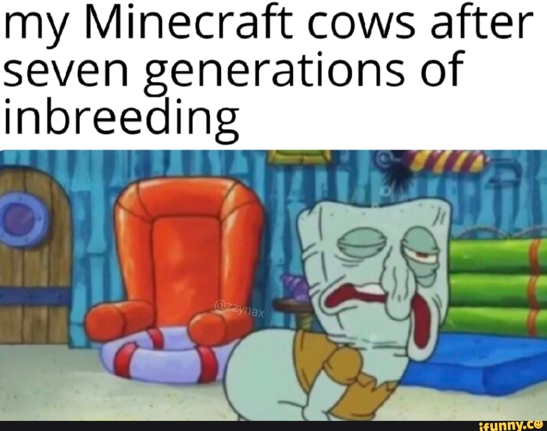 My Minecraft cows after seven generations of inbreeding - iFunny