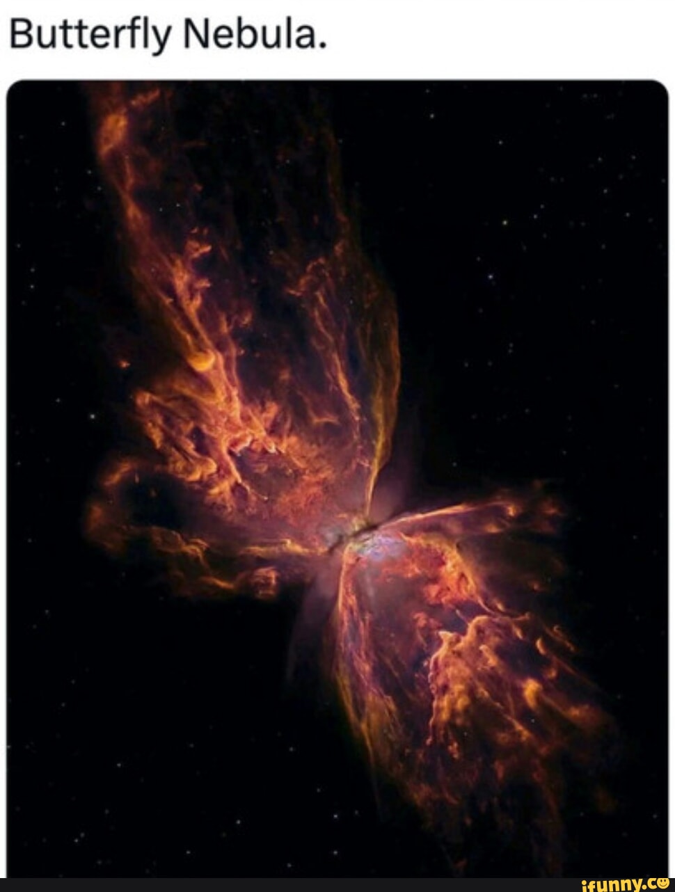 Butterflynebula memes. Best Collection of funny Butterflynebula ...