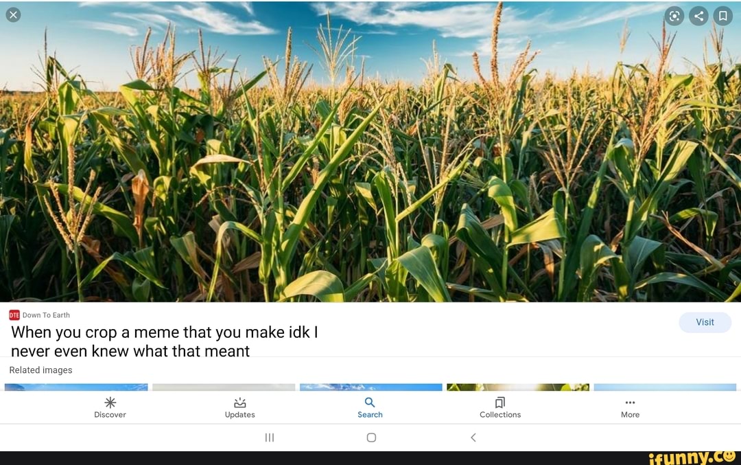When you crop a meme that you make idk I never even knew what that ...