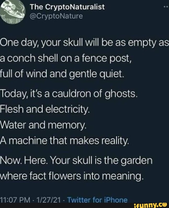 Cauldron memes. Best Collection of funny Cauldron pictures on iFunny