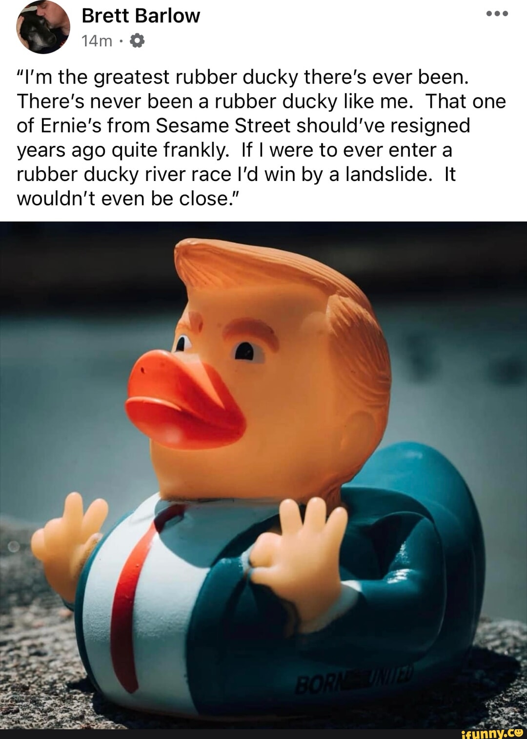 Ducky memes. Best Collection of funny Ducky pictures on iFunny